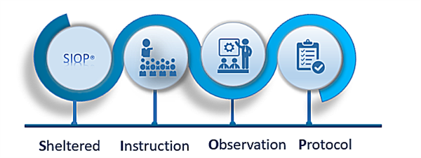 ESOL BILINGUAL MIGRANT PROGRAM / SIOP
